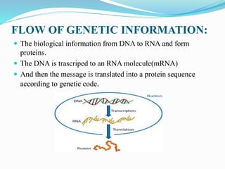 Chromosome structure | PPTX