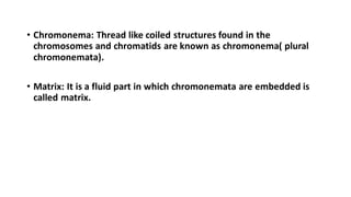 Chromosome structure | PPT