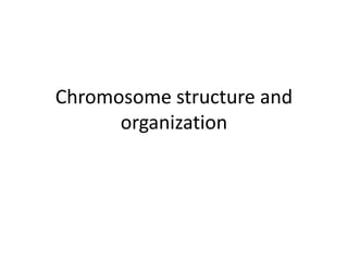 Chromosome structure.ppt principals of genetics | PPT