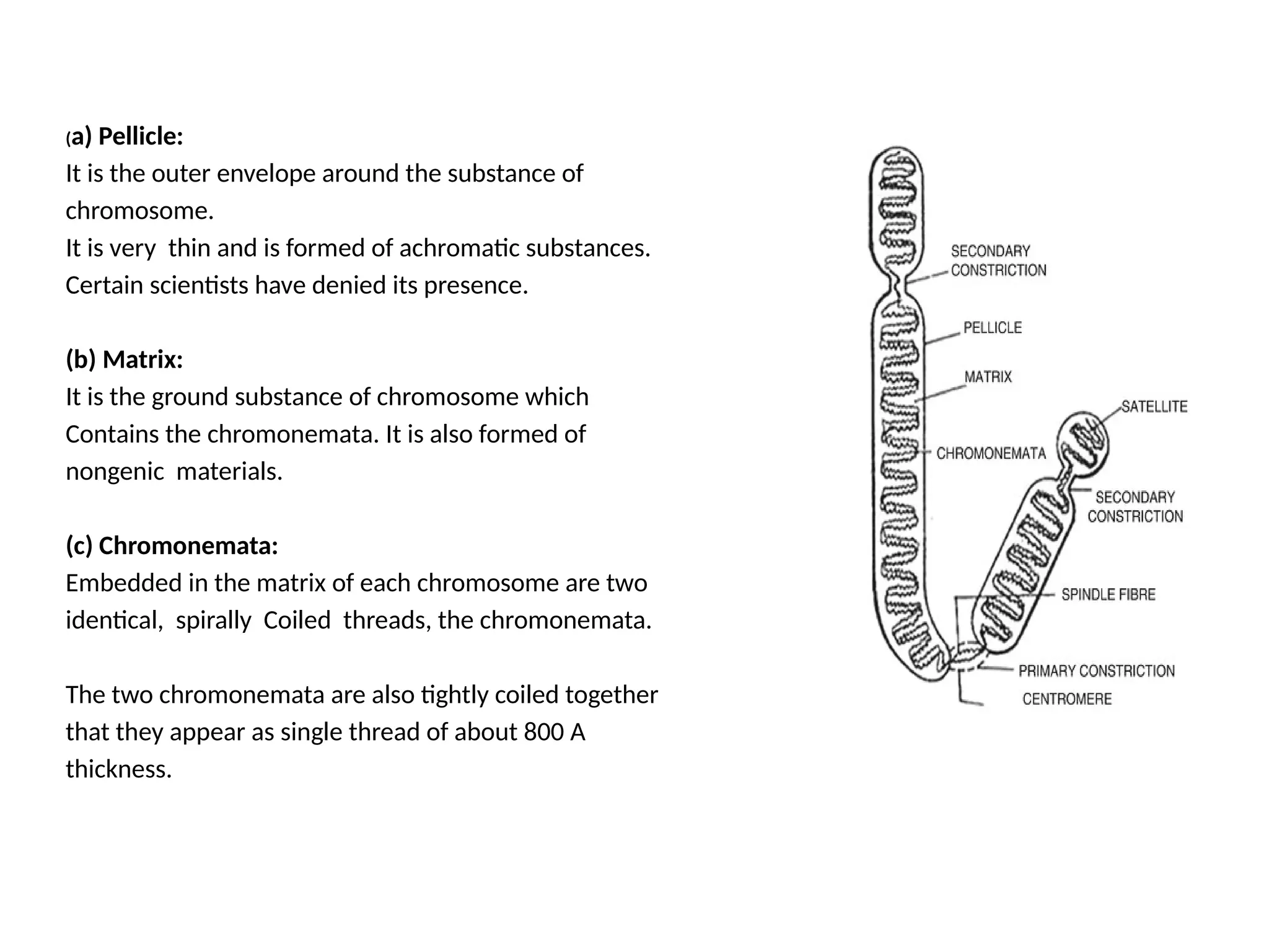 Structure of chromosome and its organization | PPTX