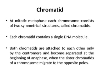 Structure of chromosome and its organization | PPTX | Genetics | Science