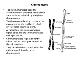 Structure of chromosome and its organization | PPTX | Genetics | Science