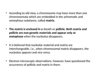 Structure of chromosome and its organization | PPTX | Genetics | Science