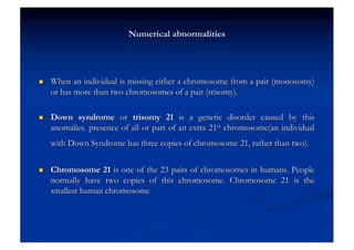 Chromosome Structure, structure of chromosome.pdf