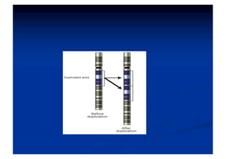 Chromosome Structure, structure of chromosome.pdf