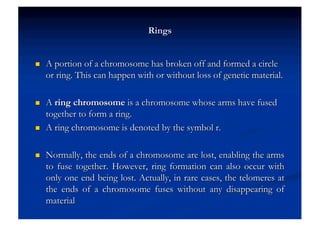 Chromosome Structure, structure of chromosome.pdf