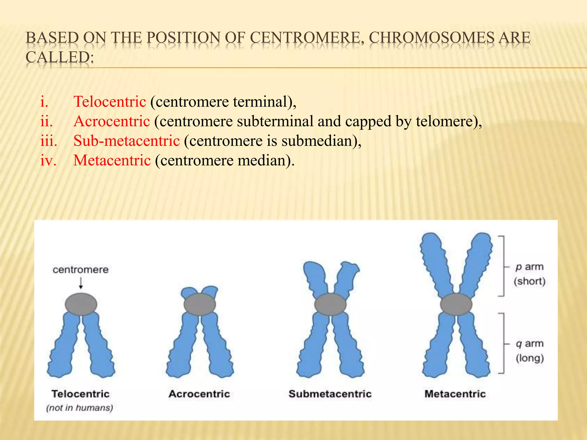 Chromosome structure and packaging of dna | PPTX