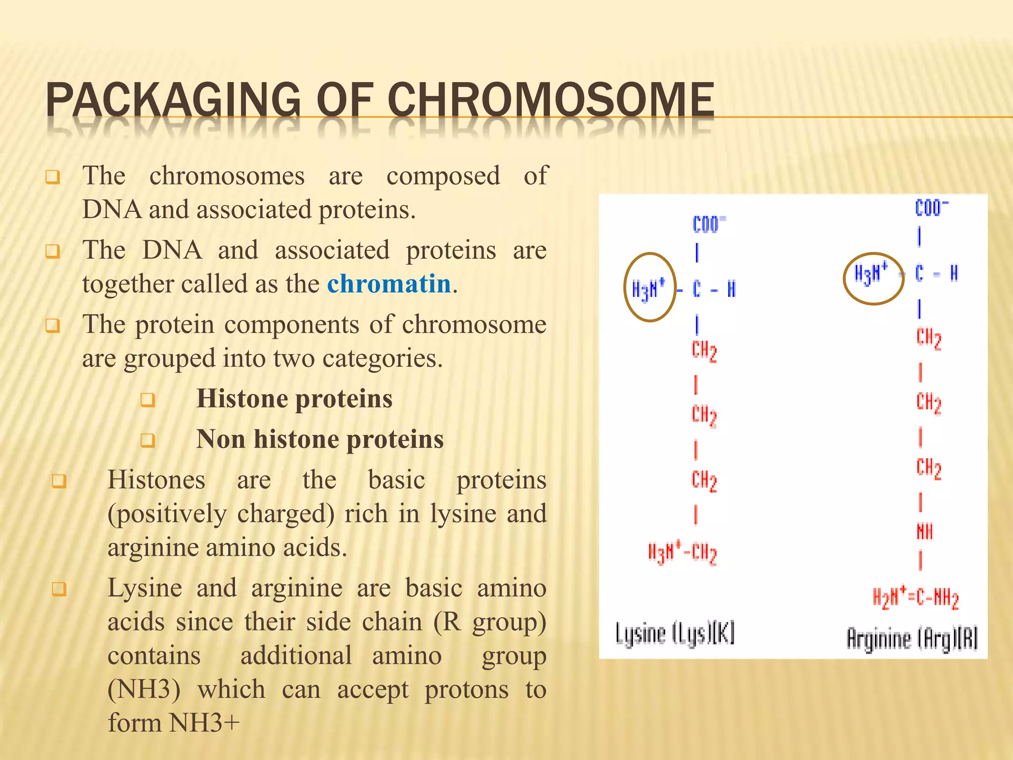Chromosome structure and packaging of dna | PPTX