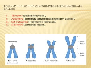 Chromosome structure and packaging of dna | PPTX