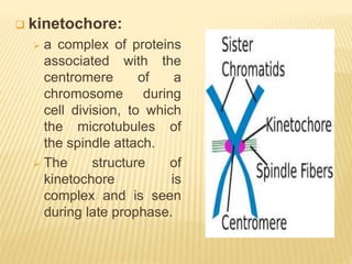 Chromosome structure and packaging of dna | PPTX