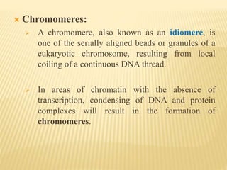 Chromosome structure and packaging of dna | PPTX