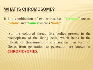 Chromosome structure and packaging of dna | PPTX