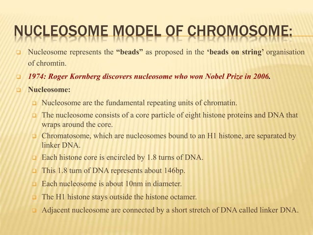 Chromosome structure and packaging of dna | PPTX | Biological Sciences ...