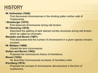 Chromosome structure and packaging of dna | PPTX