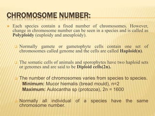 Chromosome structure and packaging of dna | PPTX