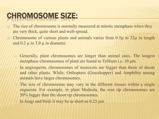 Chromosome structure and packaging of dna | PPTX