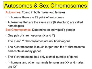 Chromosome structure | PPT