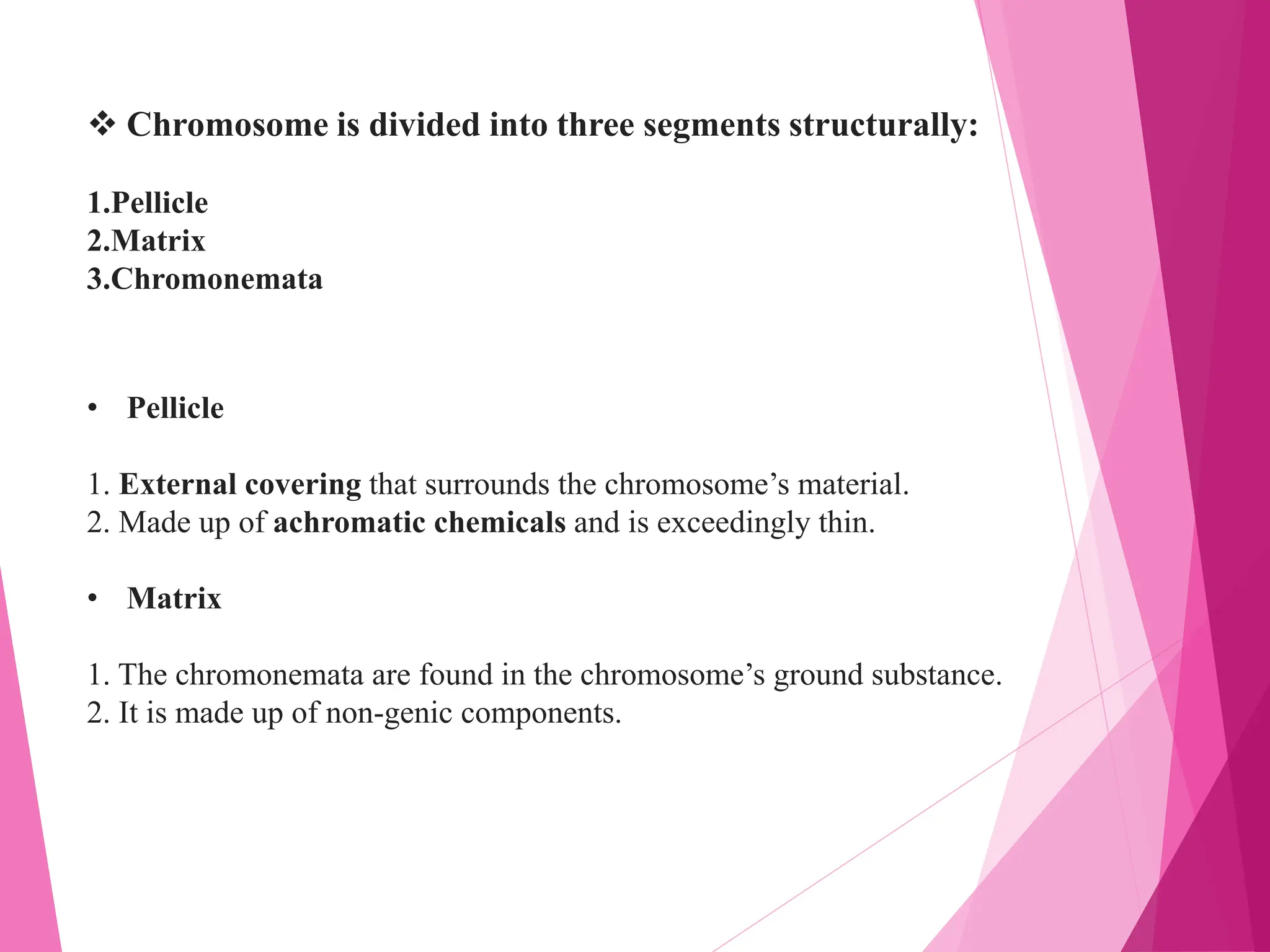 Chromosome Structure, Types and Function.pptx