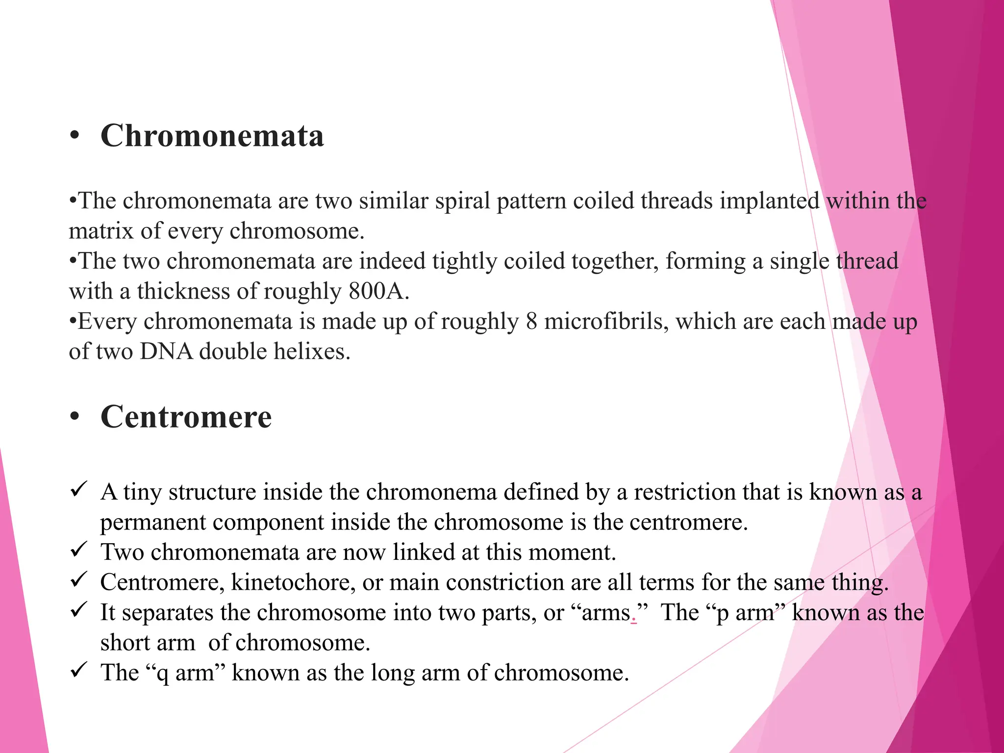 Chromosome Structure, Types and Function.pptx