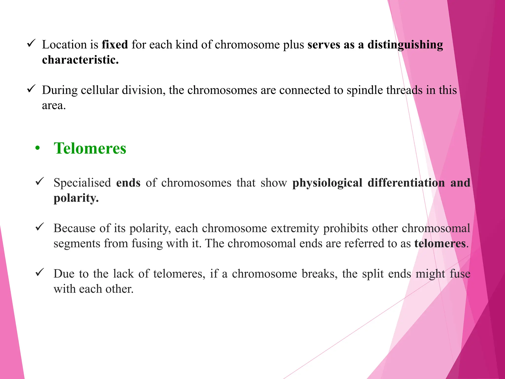 Chromosome Structure, Types and Function.pptx