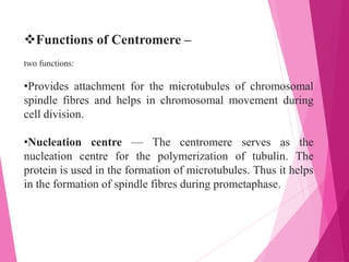 Chromosome Structure, Types and Function.pptx