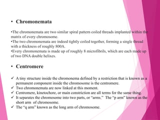 Chromosome Structure, Types and Function.pptx