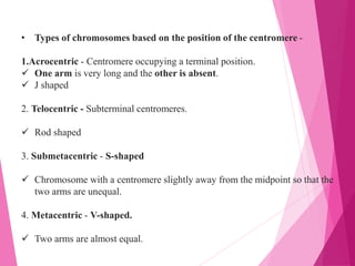 Chromosome Structure, Types and Function.pptx