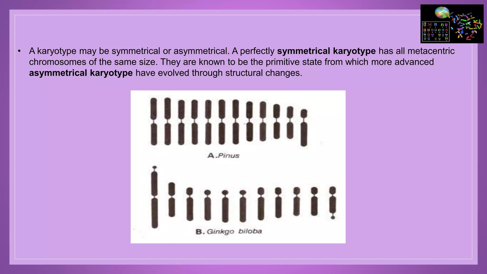 Chromosomes Types | PPTX