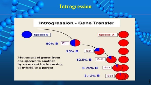 Inter-varietal Chromosome substitution lines and Genetic Improvement of ...