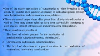 Inter-varietal Chromosome substitution lines and Genetic Improvement of ...