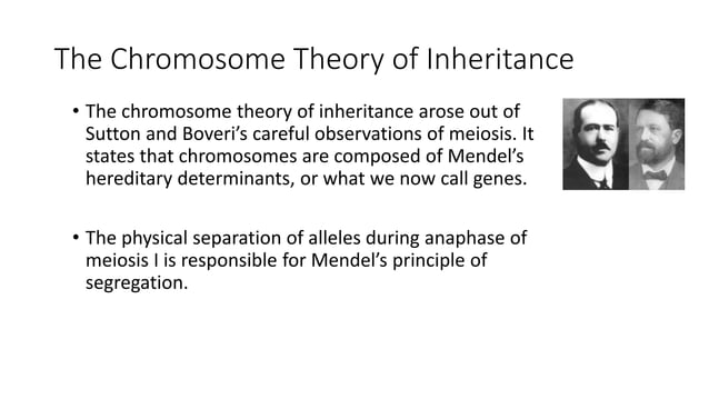 Chromosome theory of inheritance | PPTX