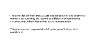 Chromosome theory of inheritance | PPTX