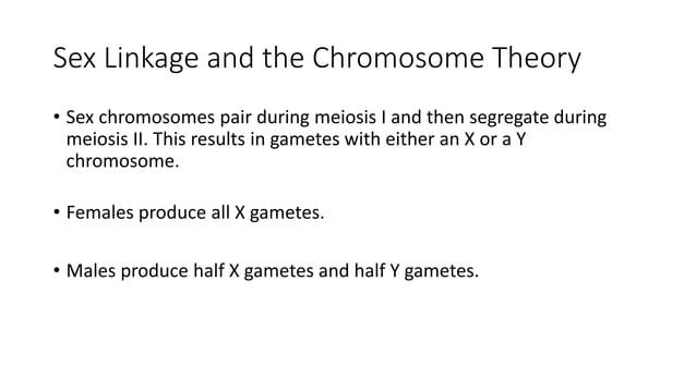 Chromosome Theory Of Inheritance Pptx