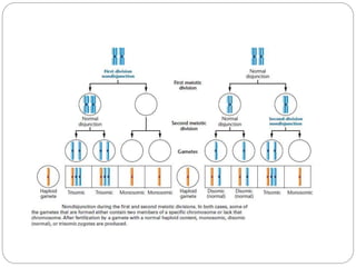chromosome variation.pptx