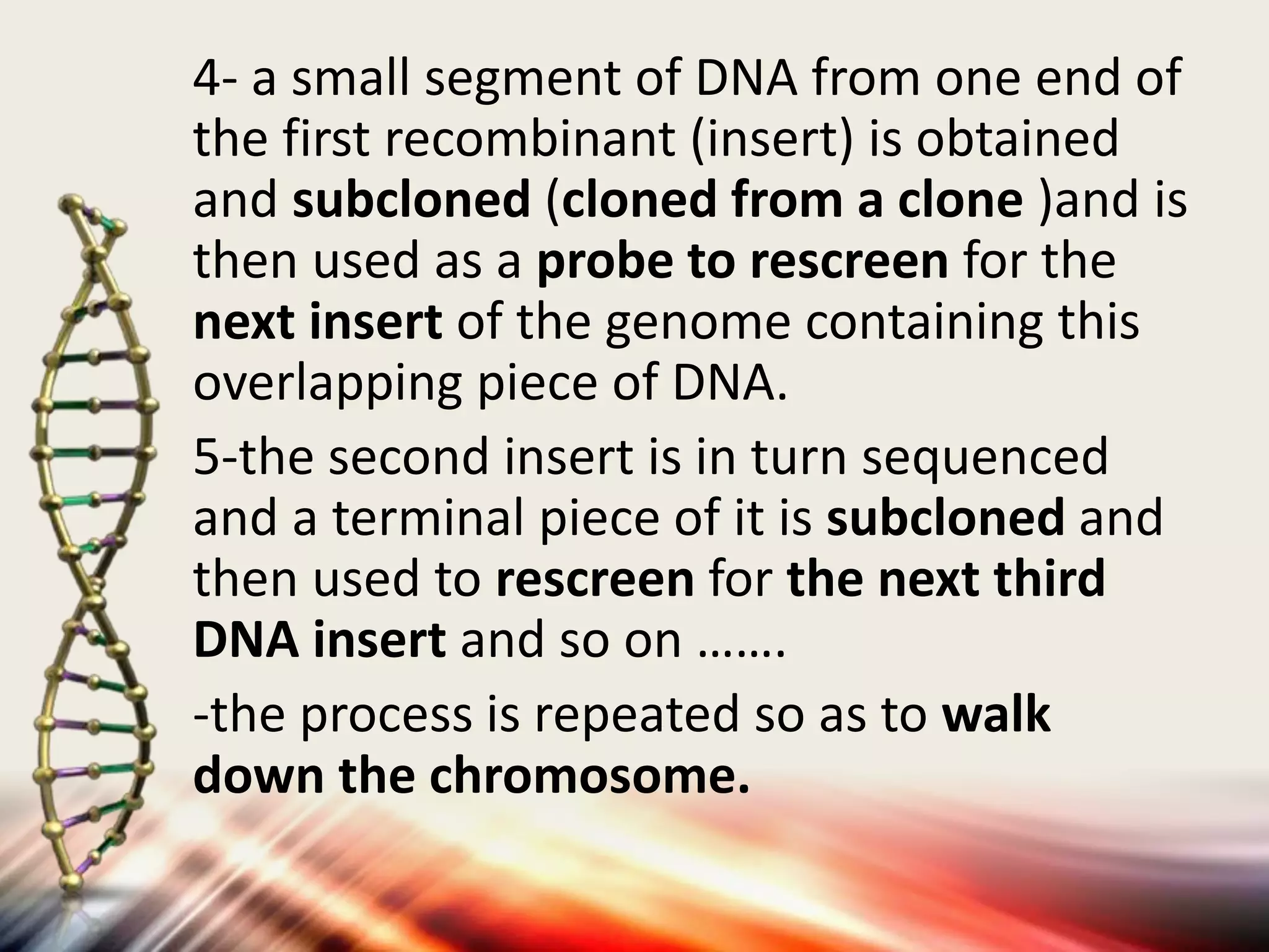 Chromosomewalking | PPTX