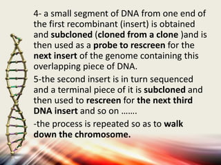 Chromosomewalking | PPTX