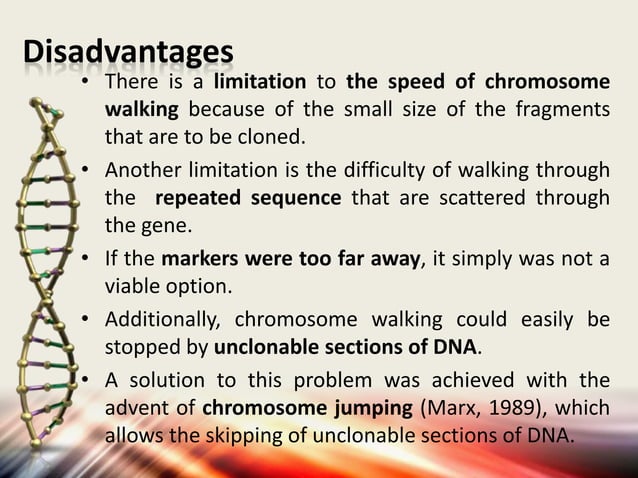 Chromosomewalking | PPT