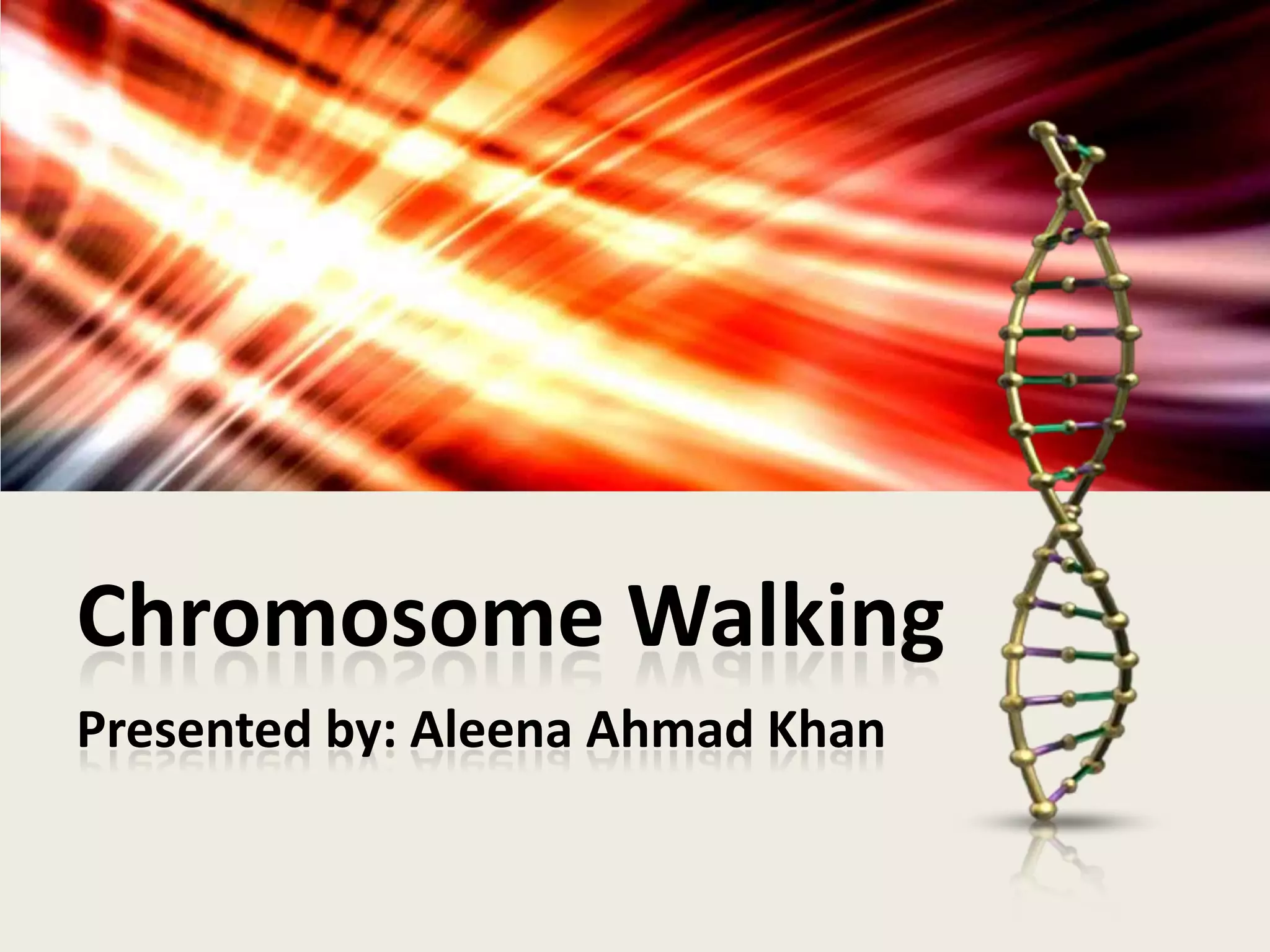 Chromosome walking | PPTX