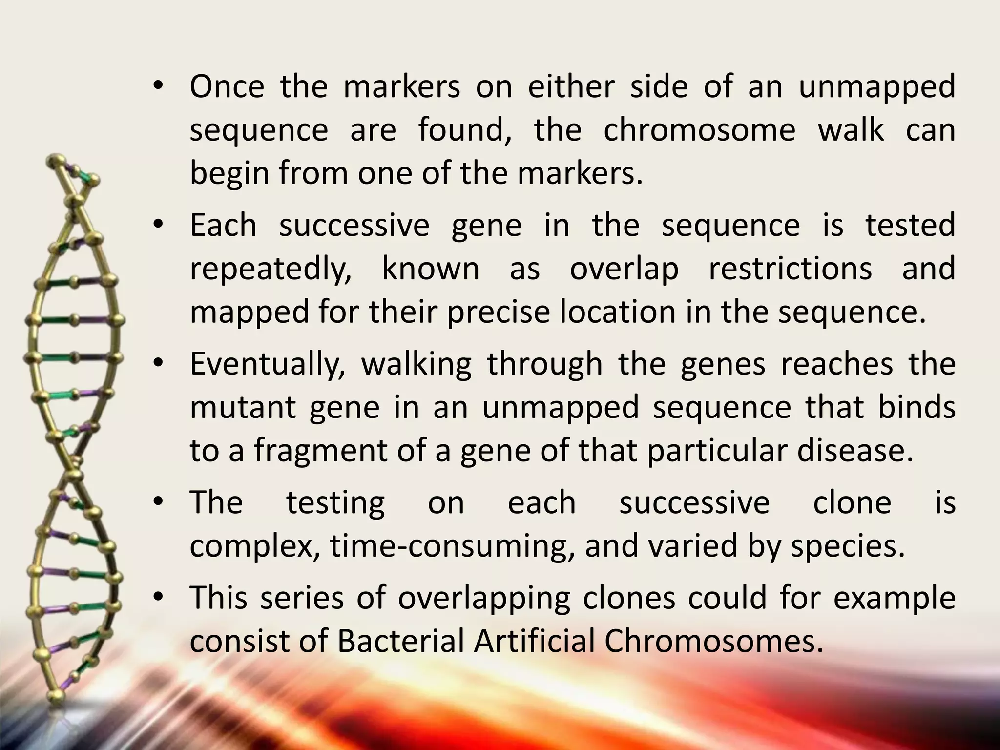 Chromosome walking | PPTX