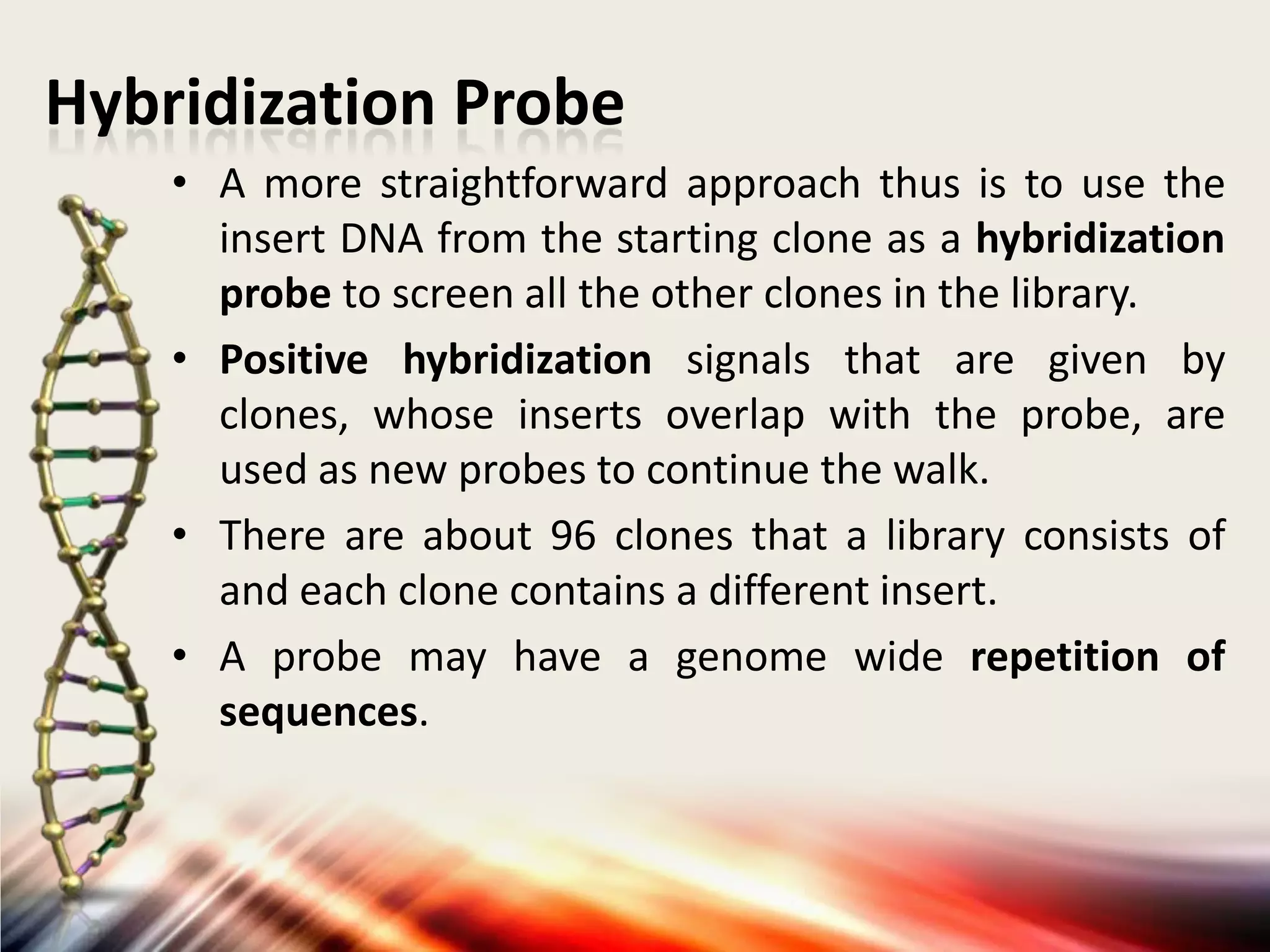 Chromosome walking | PPTX