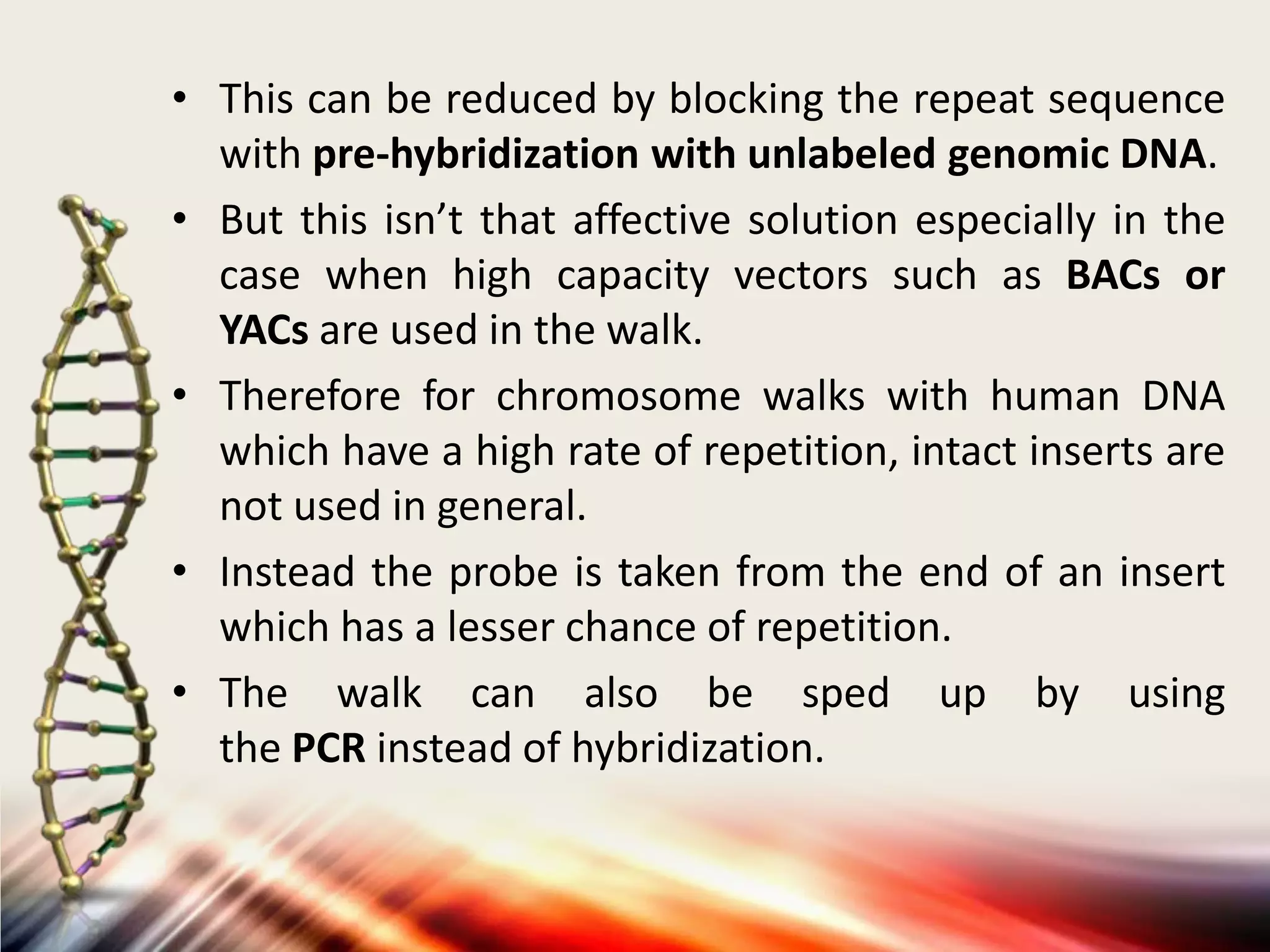 Chromosome walking | PPTX