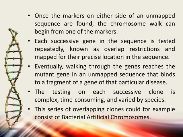 Chromosome walking | PPTX