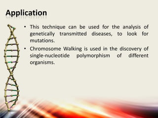 Chromosome walking | PPTX
