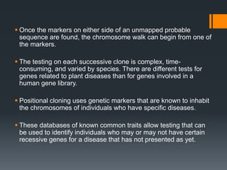 Chromosome walking | PPTX