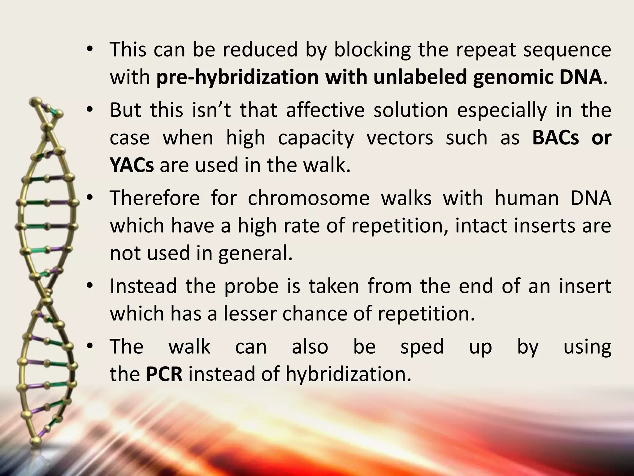 Chromosome walking | PPTX
