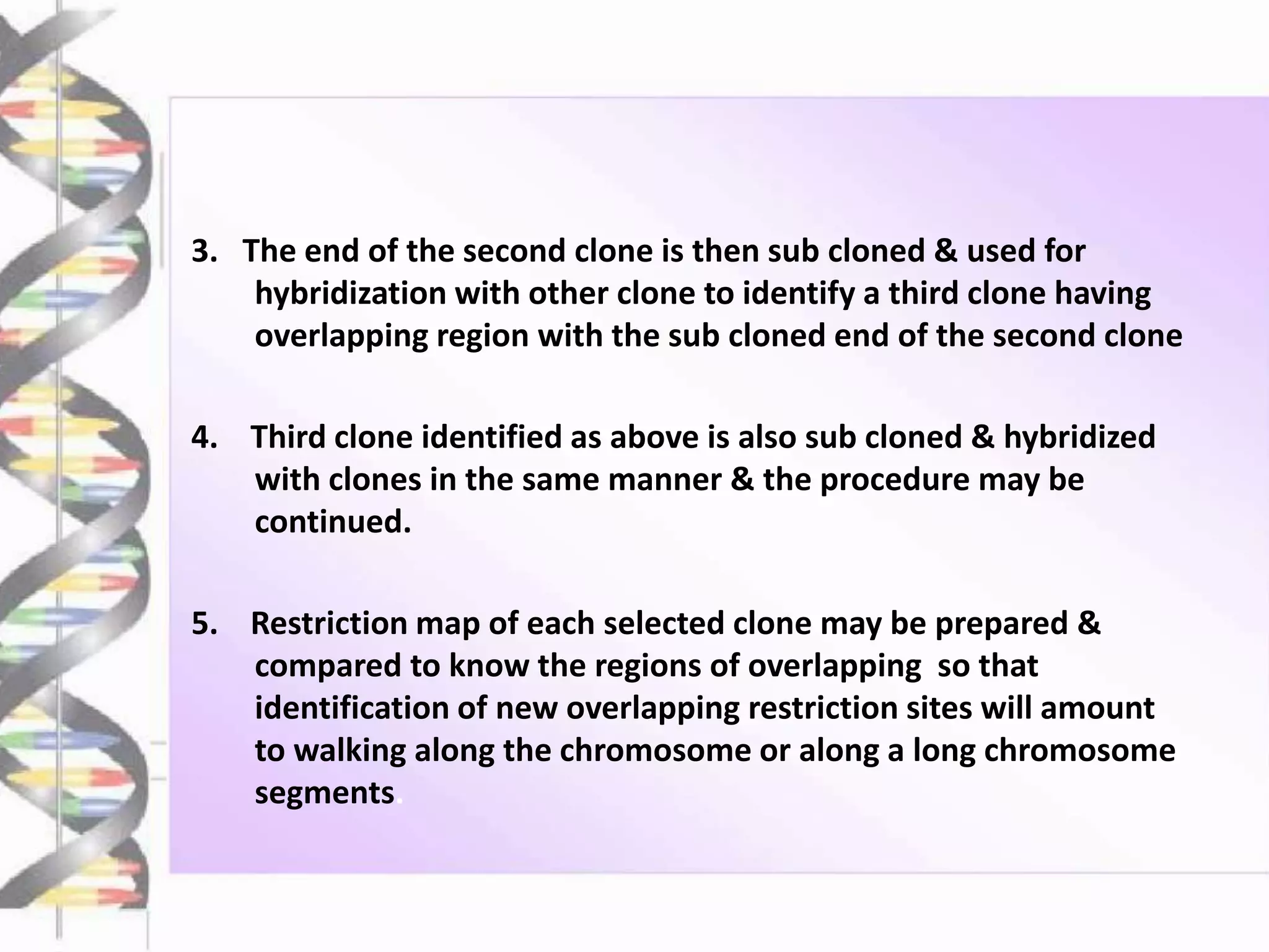 Chromosome walking | PPTX