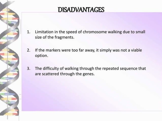 Chromosome walking | PPTX | Genetics | Science