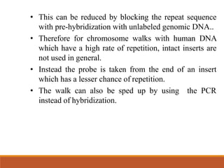 Chromosome walking.pptx