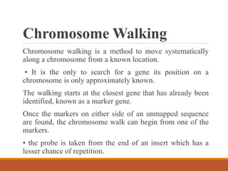 Chromosome walking.pptx
