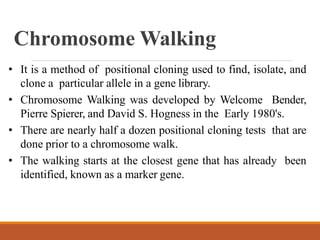 Chromosome walking.pptx